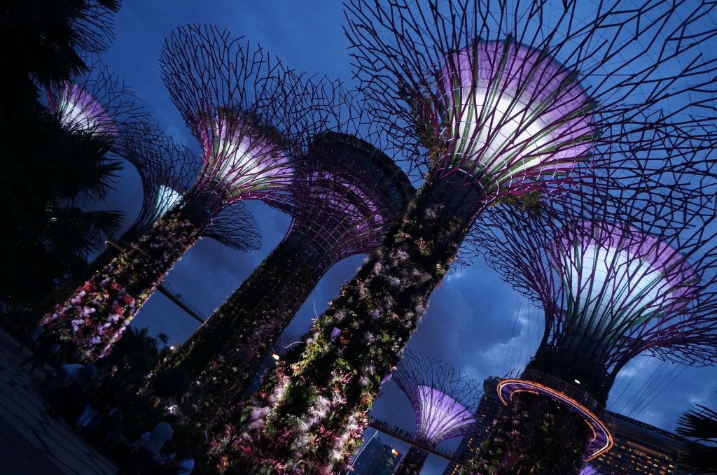 新加坡擎天树,新加坡,新加坡在哪(第10页)_大山谷图库