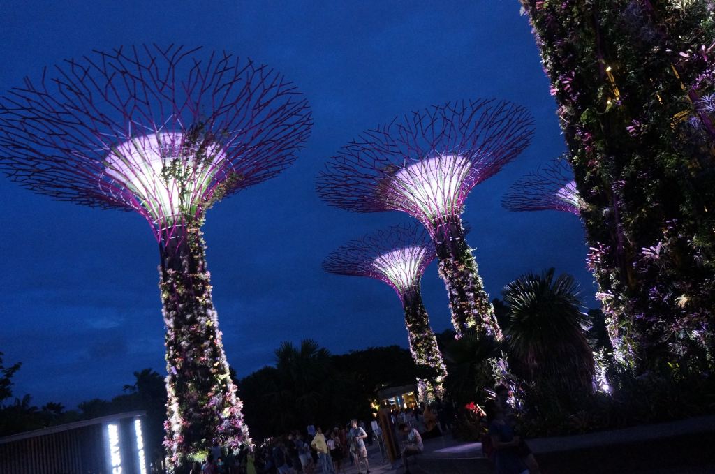 擎天树简介,简介,石正丽简介_大山谷图库